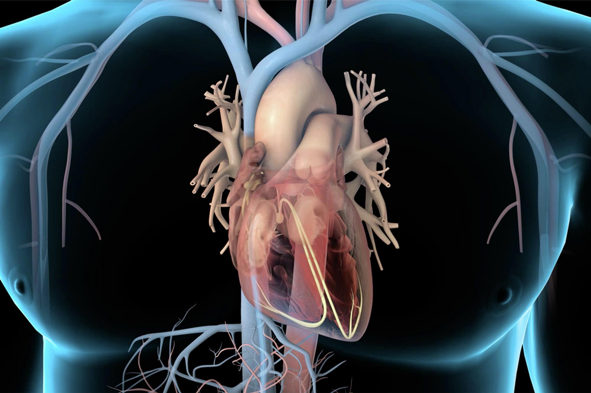 Atrial Fibrillation and Atrial Flutter Treated by Expert Cardiologists ...